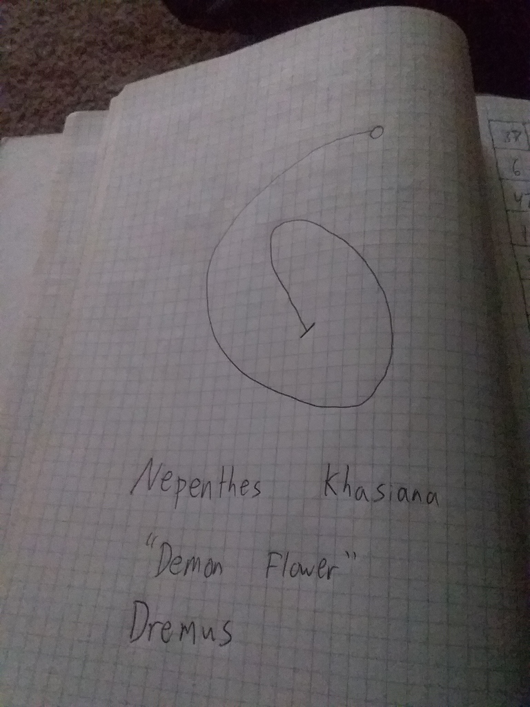 Dremus, the Devourer - General Discussion - Become A Living God