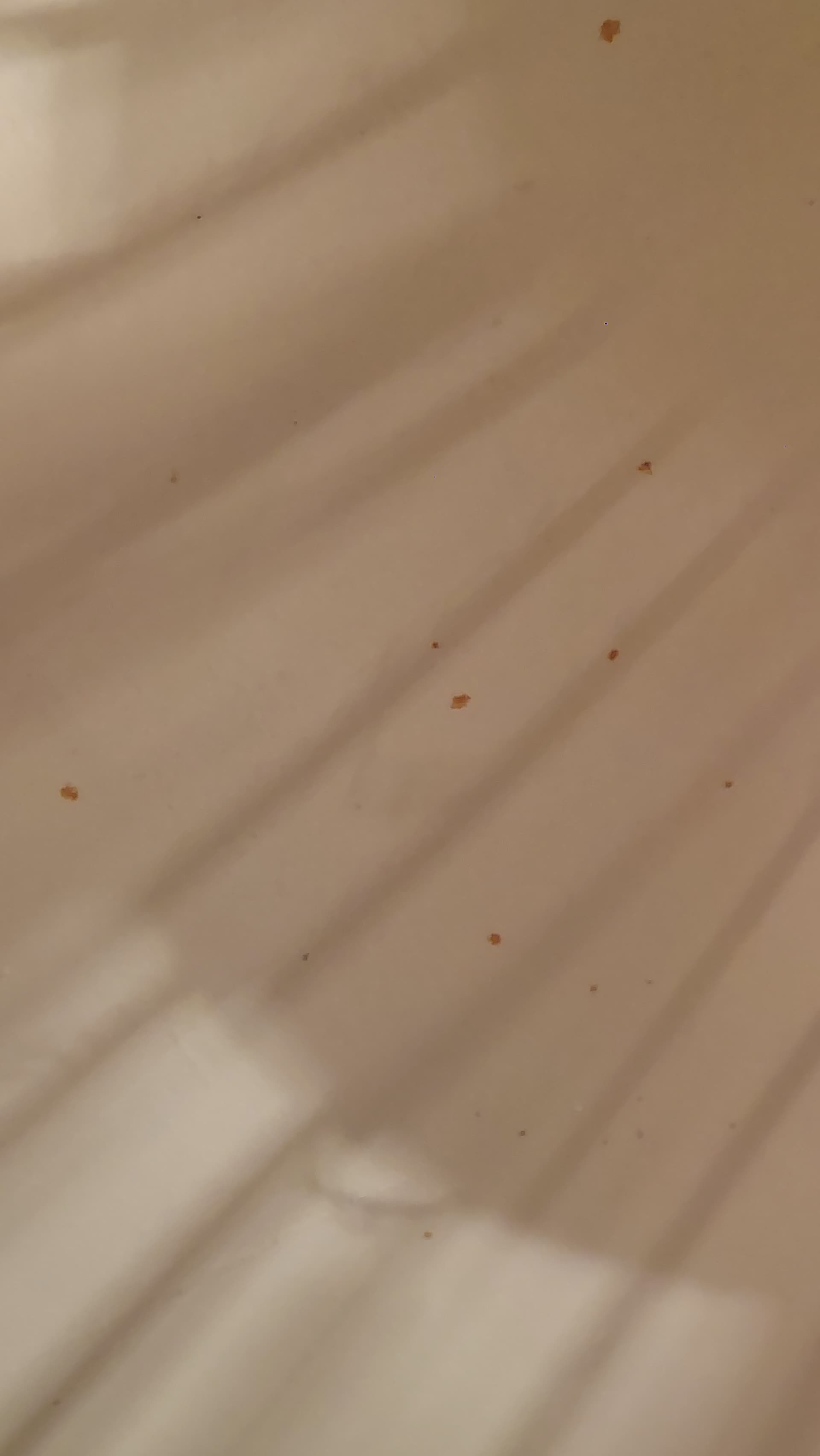 Demon pooping on room? - General Discussion - Become A Living God